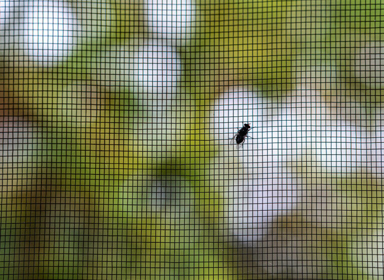 Window Screens | High-quality, custom window screens